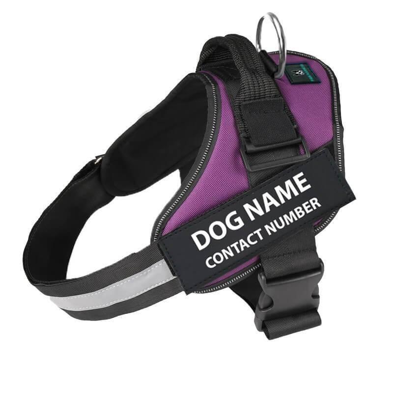 No-Pull Paw Harness™ (Get Free Leash)